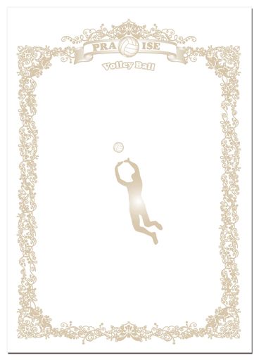 競技:バレーボール 内容:A4サイズ賞状用紙10枚+テストプリント用紙1枚入り(テストプリント用紙の裏面に参考文例があります)