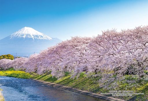 300ピース ジグソーパズル 難しジグソー シリーズ・日本の都市 その土地にかかわる風景や物などをパズルにしました