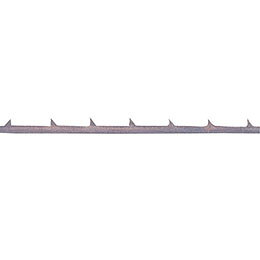 美術・画材・書道木工用商品サイズ(単位mm):150mm セット内容:12本入 重量(g):13g 包装サイズ:194x30x1mm