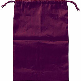 雑貨雑貨商品サイズ(単位mm):420×270mm 重量(g):35g 材質:ナイロン製 包装サイズ:430x290x10mm 生産国:中国