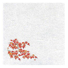 新・濡れ奉書紙 紅葉 (100枚入)敷紙のほか、掛け紙としても最適な、薄口雲竜和紙です。 ☆薄口のため透過性がよく、掛紙として、やわらかな雰囲気を演出することができます。 ☆吸水性に優れていますので、霧吹き等で湿らせて 乾燥防止にもご使用い...