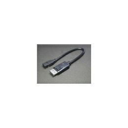 Display Port→mini Display Port