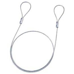 eセキュリティ長さ1.0m、太さ3.5mmワイヤー