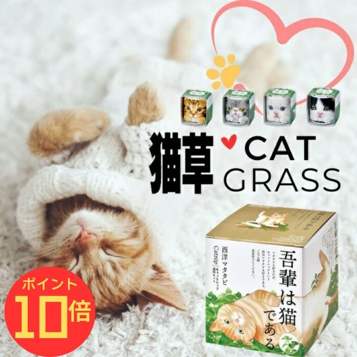 ↑このバナーから必ずエントリーをしてポイント10倍を獲得してください↑GD-1027 西洋マタタビ栽培キット 「西洋マタタビ（キャットニップ）」と呼ばれる 猫が好むハーブを育てる栽培キット。 不朽の名作「吾輩は猫である」をイメージしてゴロゴ...