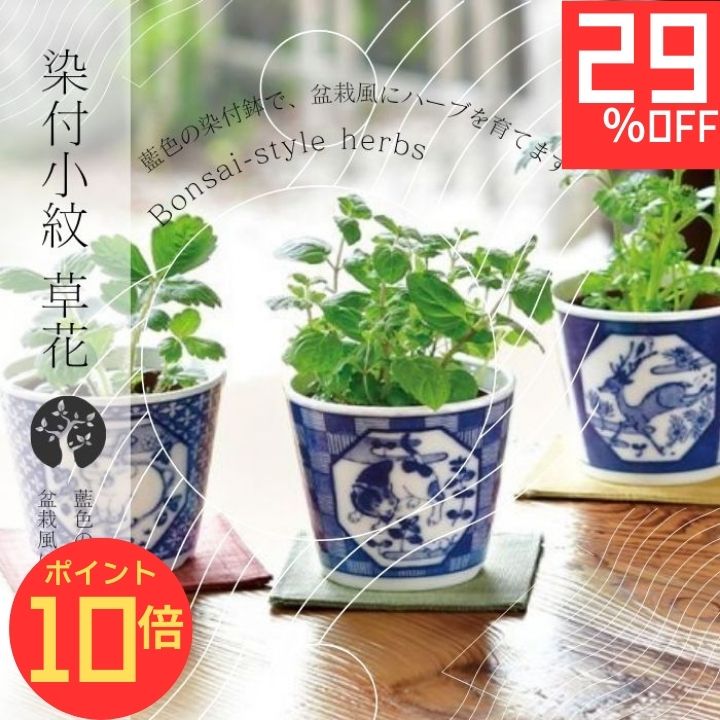 ↑このバナーから必ずエントリーをしてポイント10倍を獲得してください↑美しい藍色の染め付け鉢とコミカルでエンギモノな動物たち 藍色の染付け鉢で盆栽風にハーブを育てます。 古くより縁起がいいとして愛される動物たちをモチーフに伝統的な和文様と草...