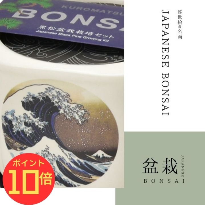 ↑このバナーから必ずエントリーをしてポイント10倍を獲得してください↑和陶鉢で育てる小さな黒松盆栽 日本美術の代表作としておなじみの葛飾北斎の「波富士」「赤富士」を素材のぬくもりが豊かな盆栽鉢に施した黒松の栽培セットです。 日本らしさ満点の...