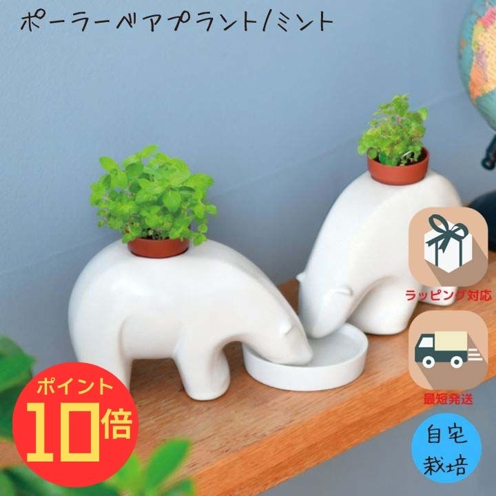 ↑このバナーから必ずエントリーをしてポイント10倍を獲得してください↑ポーラベアープラント ミント 人気の瀬戸焼アニマルシリーズに北極のアイドル“シロクマ”が仲間入り。 愛嬌たっぷりのずんぐりとしたボディは、愛知県瀬戸市の職人が手がける瀬戸...