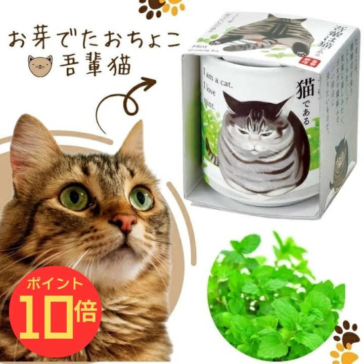 ↑このバナーから必ずエントリーをしてポイント10倍を獲得してください↑GD-1025 育てるフレーバーハーブ 4品種(01アップルミント/02レモンバーム/03ワイルドストロベリー/04カモミール) ティータイムをイメージした香りが豊かなハ...