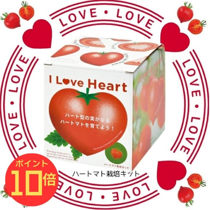 ↑このバナーから必ずエントリーをしてポイント10倍を獲得してください↑GD-1032 ハートマト栽培キット ハートマトとはぷっくりしたかわいらしいハート型の実をつける ハートブレイカーというミニトマトの品種です。 実の大きさは直径約2〜3c...