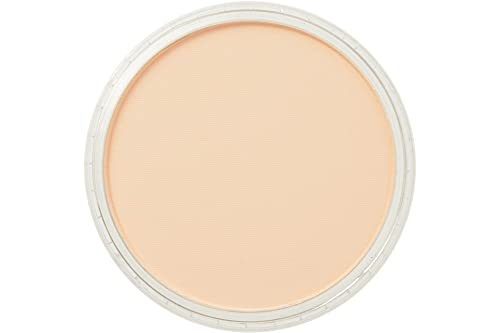 単色Orange Tint/9ml/22808・Color:Orange Tint・パッケージ個数:1・内容量：9ml・外寸：直径φ62mm×高さ17mmこれまでのスティックパステルでは難しかった技法を簡単に表現する新時代パステルです。絵具...