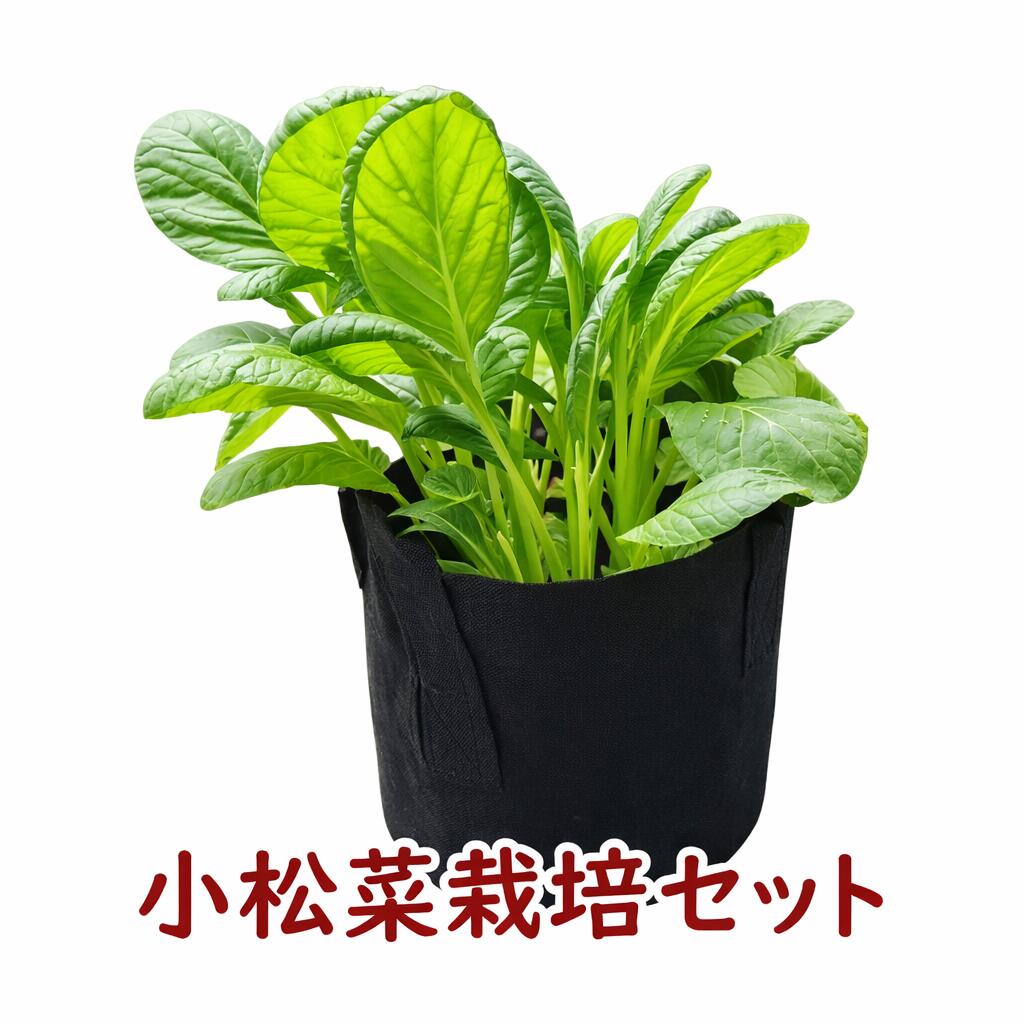 誠に申し訳ございませんが、沖縄、離島は別途、追加送料がかかりますので、ご了承くださいませ。 一個口ごとに沖縄、離島は660円の追加となります。 土はオリジナルブレンドの有機培養土です。 エコにこだわった不織布プランターと有機種子で育てる初心...