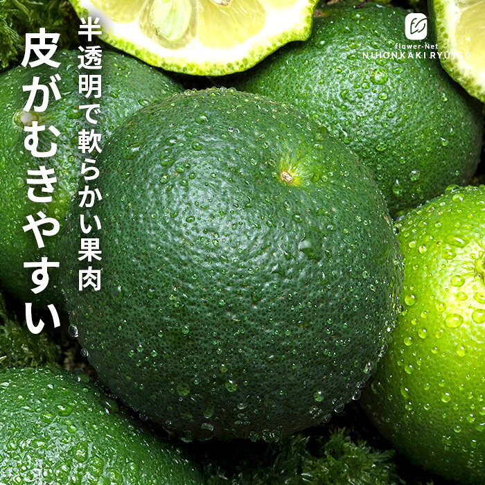 送料について→ オキナワカンキツ■　特徴沖縄の温暖な気候のなかで育つ、独特な風味や歴史を持った柑橘です。 全国的に有名な「シークヮーサー」だけでなく、沖縄には琉球王朝時代から大切にされてきた在来種や、南国ならではの濃厚な甘みを持つ品種がいく...
