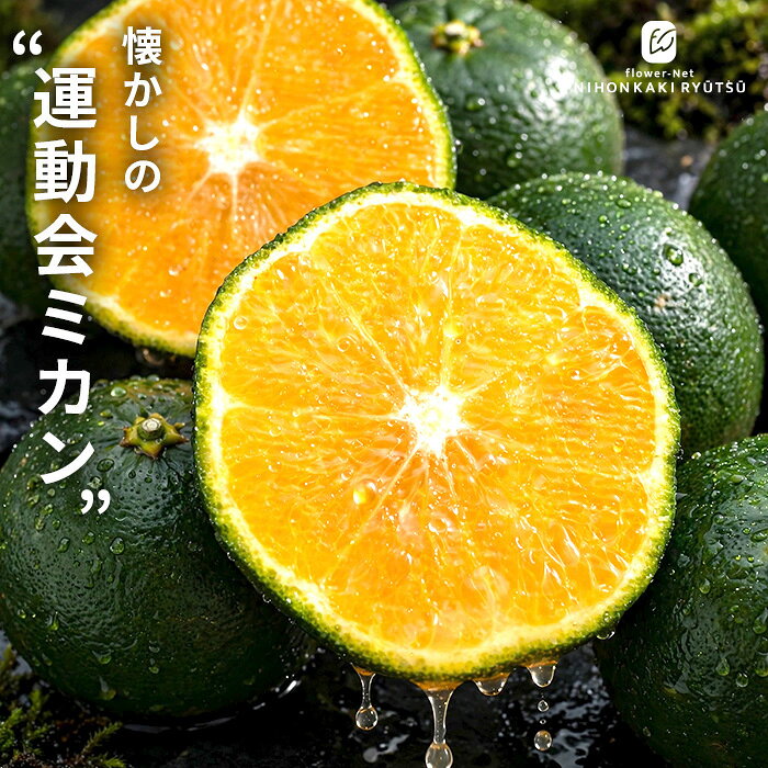 送料について→ オキナワカンキツ■　特徴沖縄の温暖な気候のなかで育つ、独特な風味や歴史を持った柑橘です。 全国的に有名な「シークヮーサー」だけでなく、沖縄には琉球王朝時代から大切にされてきた在来種や、南国ならではの濃厚な甘みを持つ品種がいく...