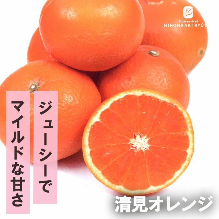 送料について→ 特徴 日本の温州みかんと海外生まれのトロビタオレンジを掛け合わせて生まれた、日本産の傑作シトラス「清見オレンジ」。 「デコポン（不知火）」や「せとか」など、数々の高級柑橘の「生みの親」としても知られる伝説的な優良品種。 果肉...