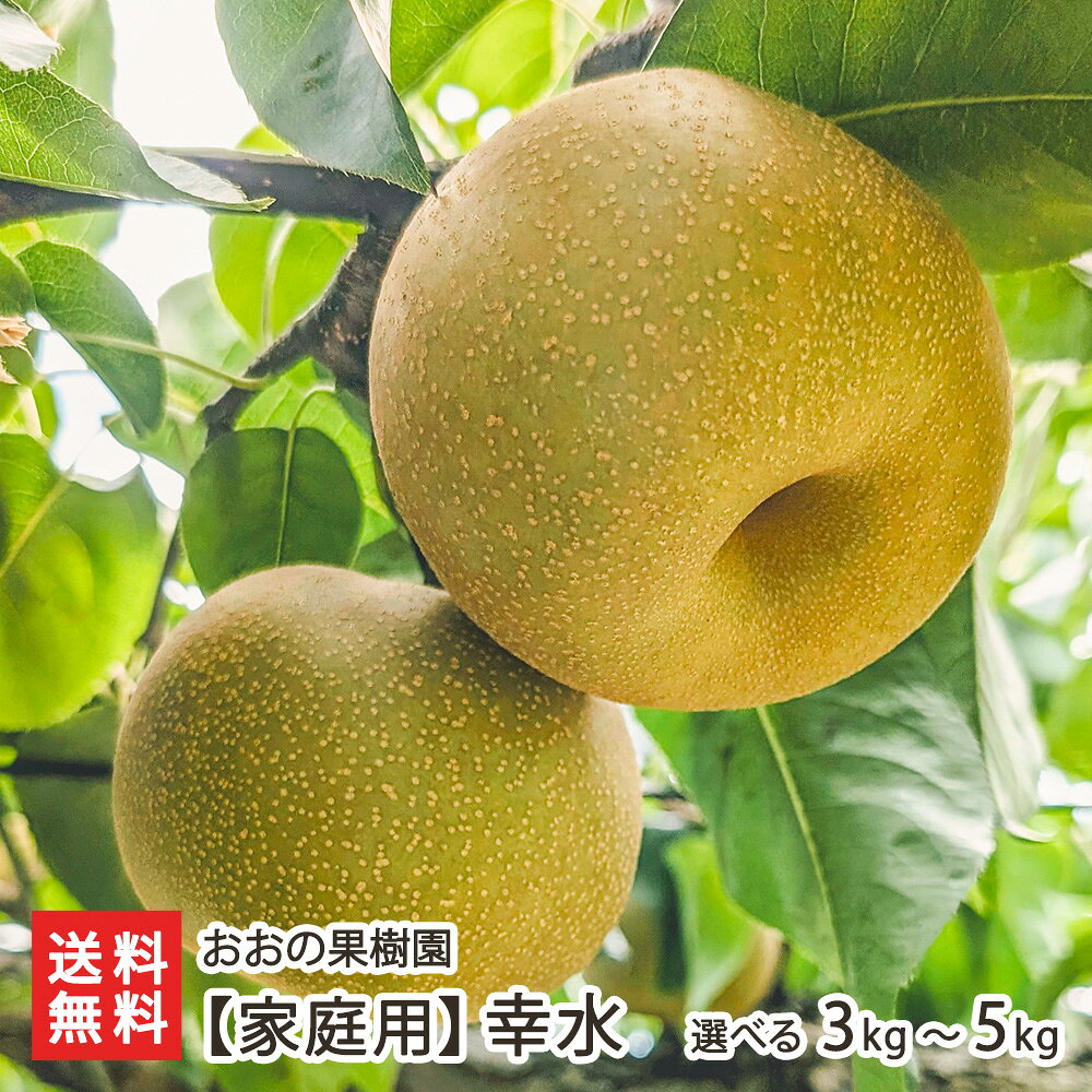 商品説明 内容 【家庭用】幸水 商品内容 3kg、5kg 配送方法 ヤマト運輸（通常便） 保存方法 直射日光・高温多湿を避け、涼しい場所で保存してください 賞味期限 商品到着後、お早めにお召し上がりください 「家庭用」について ※家庭用は、...