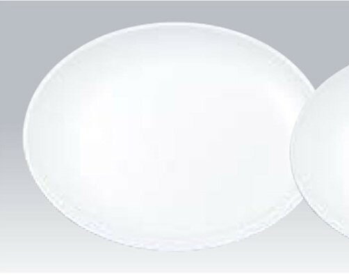 サイズ：250φ×24mm日本製材質：メラミン樹脂耐熱温度：120℃食器洗浄機　使用可電子レンジ　使用不可