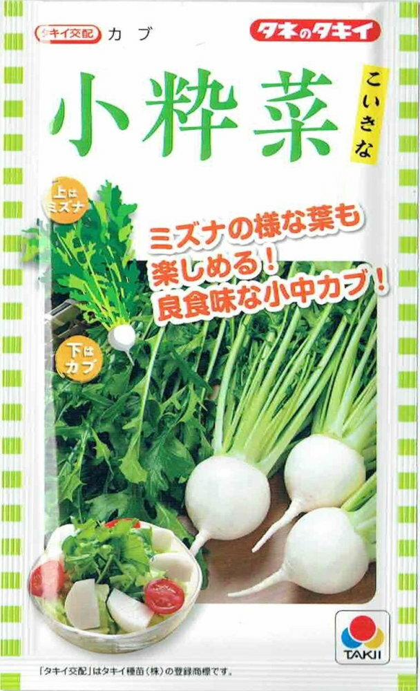 ミズナの様な葉も楽しめる！ 良食味な小中カブ！ タキイ種苗　カブ「小粋菜」 ミズナ様の葉をもつ良食味な小中カブ。捨てる箇所なく食べられる。 タネをまいてから60〜65日が収穫の目安。 根こぶ病に耐病性をもつ。 タネまき 1ヵ所に3〜4粒ずつ...
