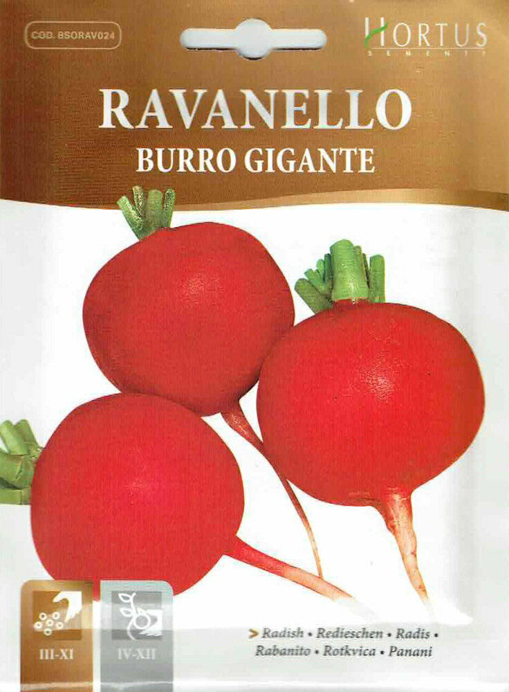 ラディッシュ・ジャイアント アブラナ科 ●種まき　　3〜5月/9〜10月 ●収穫　　　5〜7月/11〜12月 【種まき】 日当たり、水はけが良く有機質に富んだ肥沃な土にすじまきします。発芽までの約1週間は土の表面が乾燥しない様に水やりを丁寧...