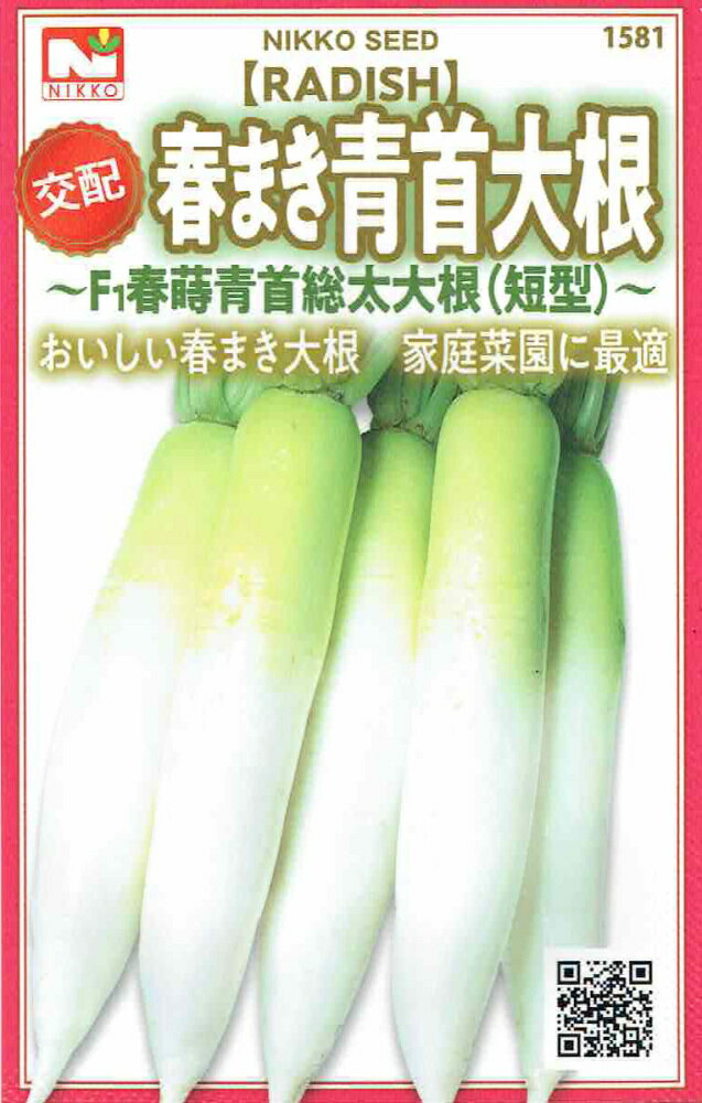 肌美しく、形状よく揃う春蒔青首大根で草勢強くつくり やすく、家庭菜園に最適です。肉質緻密で甘味があり 煮食や漬物にして食味は抜群、サラダやおろし大根 としても美味です。