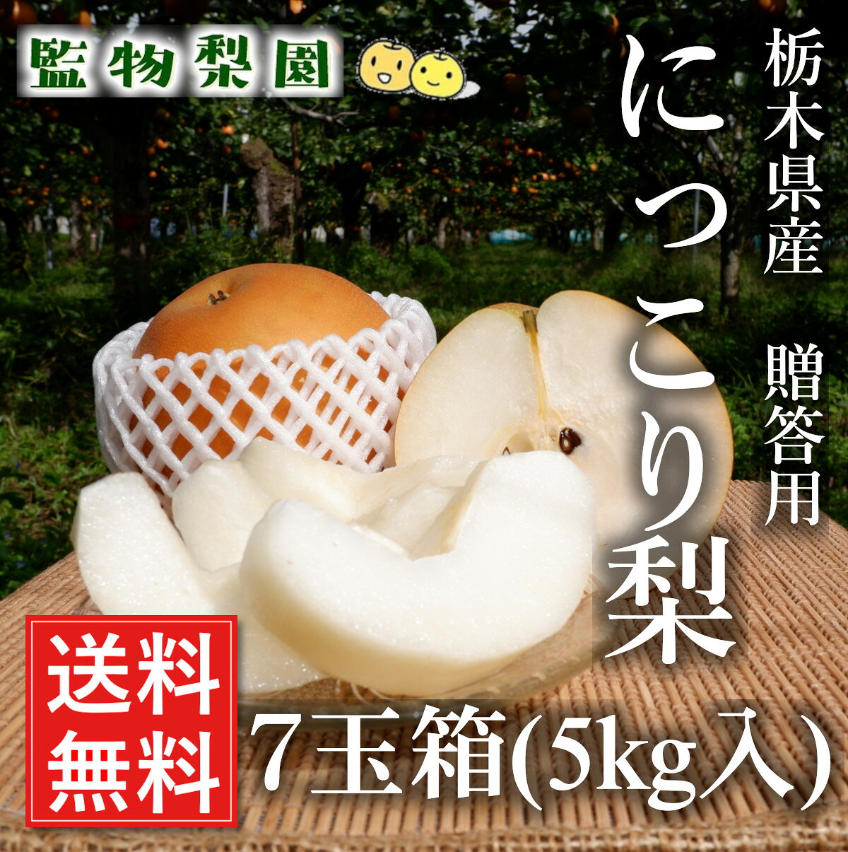 商品 梨 にっこり 5kg 商品について 栃木県生まれの超大玉種！11月収穫の晩生種・日持ちの良さ・見栄えのインパクトの大きさからお歳暮用として非常に人気の品種です。 販売時期 10月上旬から11月下旬まで 同梱について 採れたての新鮮な梨...