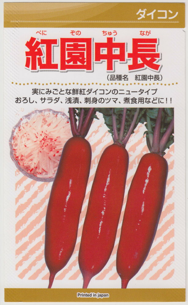 実にみごとな鮮紅ダイコンのニュータイプ おろし、サラダ、浅漬、刺身のツマ、煮食用などに！！ カネコ種苗 ダイコン 紅園中長 特性 国内では珍しい紅長ダイコンで、外皮は色ツヤがすこぶるよく、鮮やかな紅色となります。 秋まき用品種で生育期間はや...