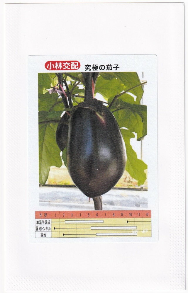 製造元：小林種苗究極の茄子トンネルの要・不要や定植などの情報は商品パッケージをご確認ください。一代交配F1種果重180〜350g特性食味極上の大型丸ナス。果実は180-350gになる長目の大円型で、収穫適期が広い。草勢は極めて強く、栽培容易...