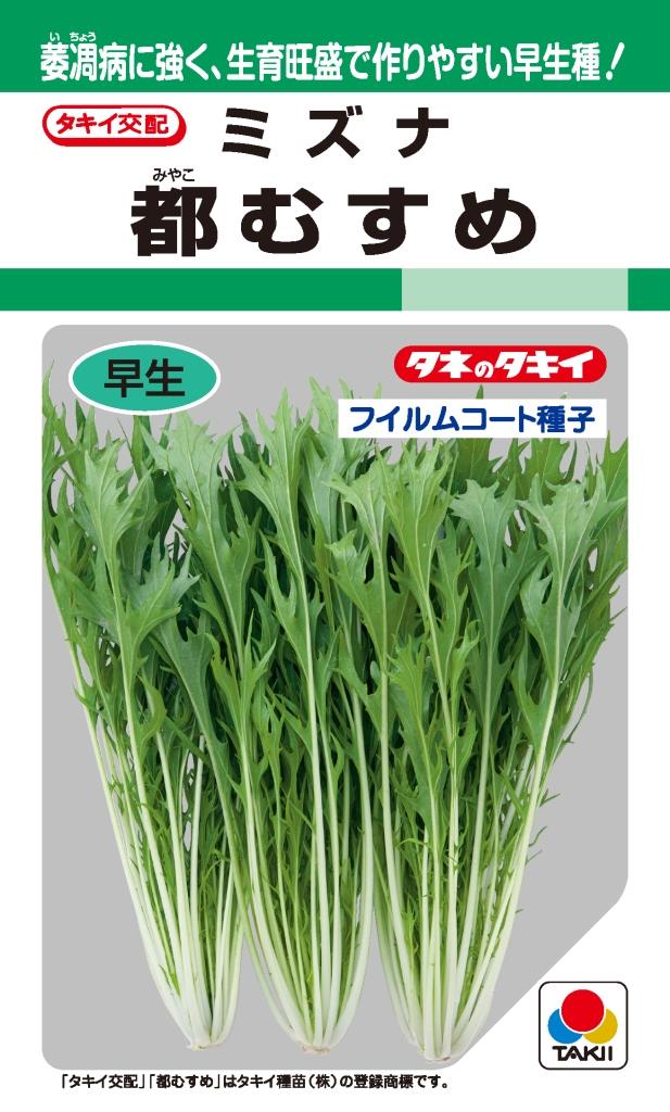 製造元：タキイ種苗萎凋病に強く、生育旺盛で作りやすい早生種!ミズナ 都むすめトンネルの要・不要や定植などの情報は商品パッケージをご確認ください。一代交配F1種早生発芽適温20〜25度生育適温15〜20度発芽日数3〜5日特長生育は旺盛で株張り...