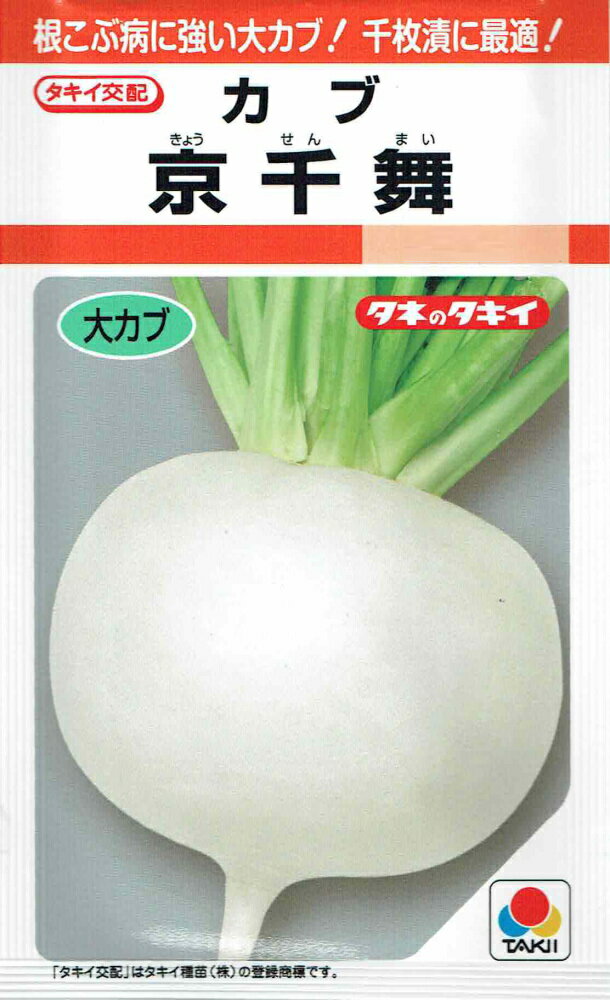 製造元：タキイ種苗根こぶ病に強い大カブ！千枚漬に最適！カブ　京千舞トンネルの要・不要や定植などの情報は商品パッケージをご確認ください。一代交配F1種大カブ発芽適温20〜25度生育適温15〜20度発芽日数3〜5日株間30〜35cmうね幅120...