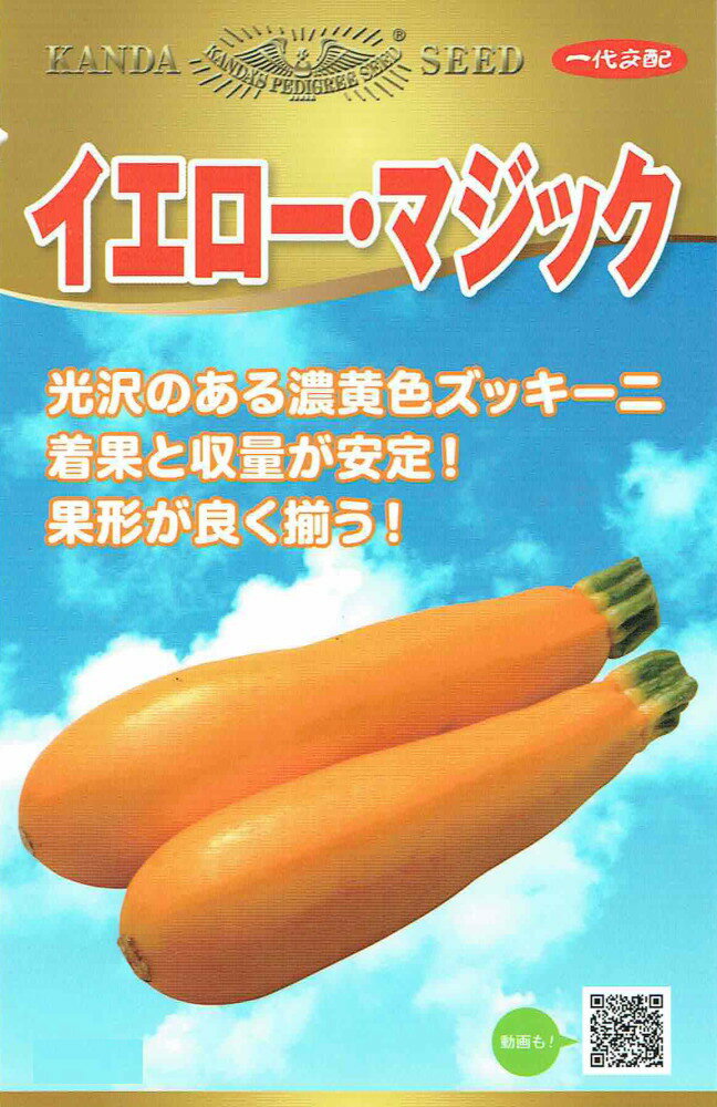 製造元：神田育種農場光沢のある濃黄色ズッキーニ　着果と収量が安定！ズッキーニ　イエロー・マジックトンネルの要・不要や定植などの情報は商品パッケージをご確認ください。一代交配F1種暑さに強い果径3〜5cm果長18cm前後特性円筒形で曲がりにく...