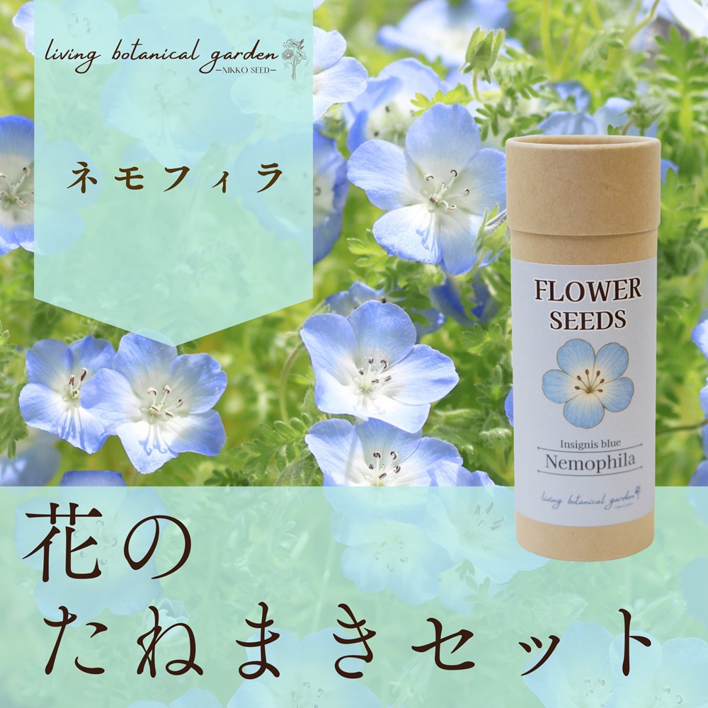 Living botanical garden（リビング・ボタニカル・ガーデン）「花のたねまきセット　ネモフィラ」特長お部屋やベランダで気軽に楽しめる、花のたねまきセットです。種・水でふくらむ土ポット・説明書がひとつのパッケージに入っている...
