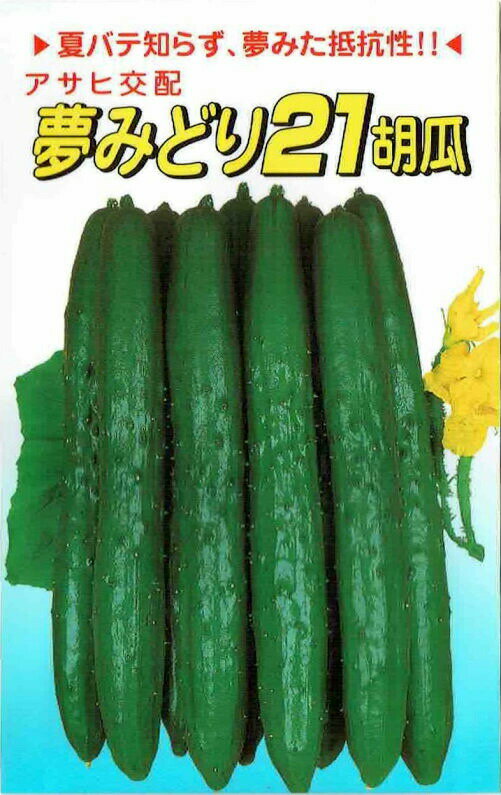 夏バテ知らず、夢みた抵抗性!! アサヒ農園　キュウリ　夢みどり21 特性 ●病気に極めて強いため、特に夏の高温期に力を発揮する。●小葉で過繁茂にならず、スッキリした草姿で非常に作りやすい。●果重は100g前後、果長21〜22cm、ピカピカの...