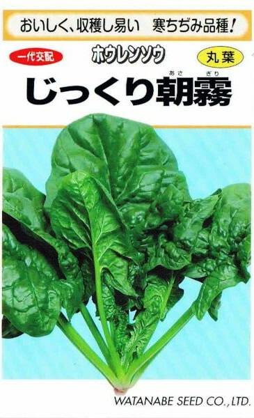 寒ちぢみ栽培に適した品種です。春、秋まきの普通栽培も可能です。低温期では糖度の上がりが早く、甘みが強く感じられる品種です。丸葉で適度なちぢみがあり、葉が伸び過ぎず収穫しやすく在圃性にも優れます。べと病レース1〜12、14、15抵抗性品種です...