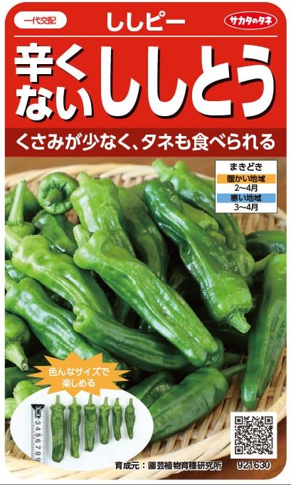 シシトウ感覚 タネも食べられる 一代交配　ししとうピーマン　ししピー 特長 &nbsp;辛みがなく、タネごと食べられるミニピーマンです。果肉やわらかく、ピーマン特有の臭い少なく、ヘタをとればそのまま料理に使えます。焼く、煮る、炒める、揚げる...