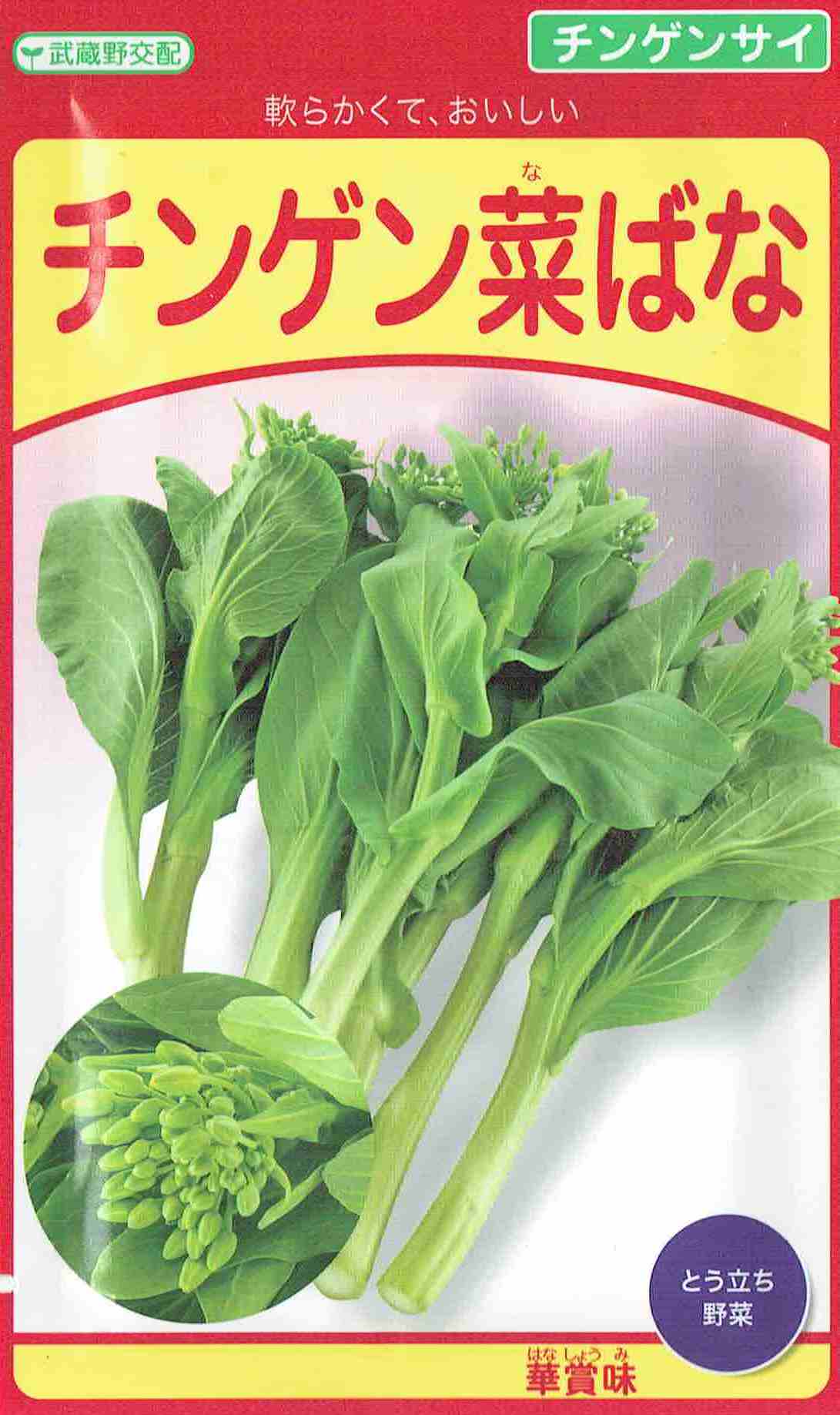 ミラクルチンゲンサイチンゲン菜ばな 特長 チンゲンサイをとう立ちさせた野菜です。 青臭さがなく甘い。生でも食べられます。 9〜10月まき、翌3〜4月中旬収穫。関東地方の平野なら露地栽培が可能です。 炒め物・おひたし・ゴマ和えなど、チンゲンサ...