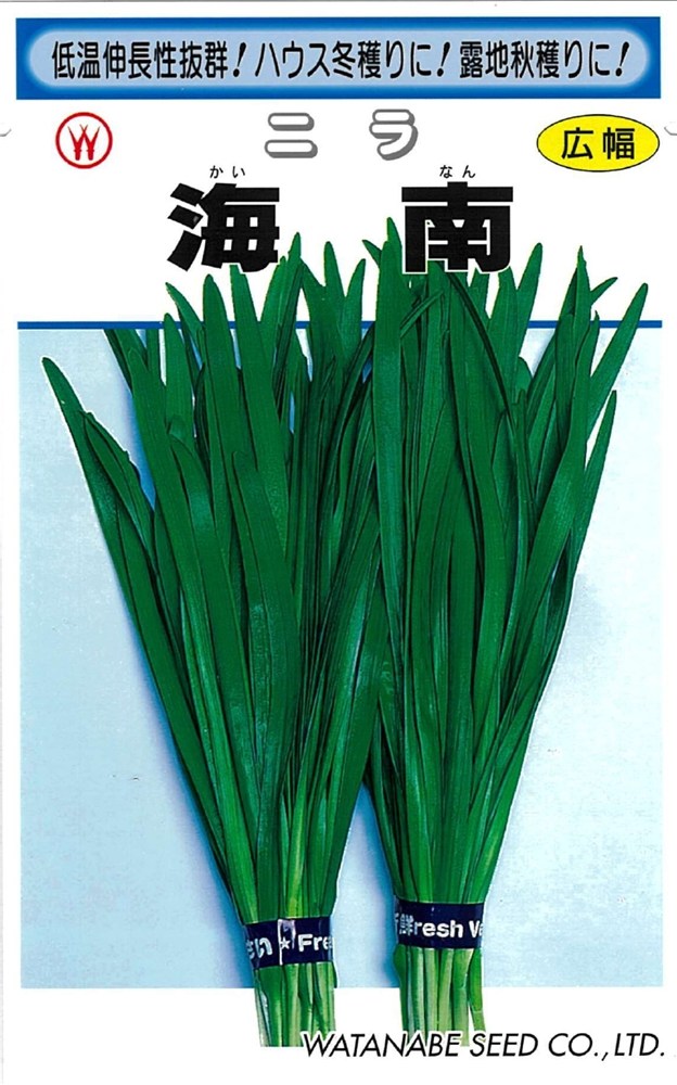製造元：渡辺採種場低温伸長性抜群！ハウス冬穫りに！露地秋穫りに！ニラ　海南（かいなん）トンネルの要・不要や定植などの情報は商品パッケージをご確認ください。発芽適温15〜20度生育適温20度株間30cm特性休眠は極めて浅く、低温伸長性が非常に...