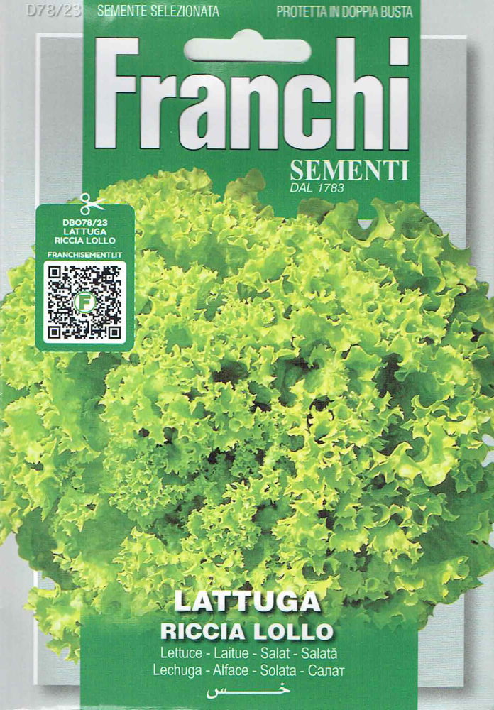 製造元：FRANCHI（イタリア）ライムグリーンの爽やかな色レタス　RICCIA LOLLOトンネルの要・不要や定植などの情報は商品パッケージをご確認ください。固定種畑プランターコンテナ生育適温15〜20度特長早生種、ライムグリーンの爽やか...