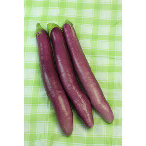 皮柔らかく炒めて食感最高　 なすコレ　炒めて台湾 ●果重110g、長さ28cm。 ●果皮は濃紫色、果肉は白くて細長いナス。 ●草勢強く、厚さ・湿気・病気に強い。油との相性が抜群。