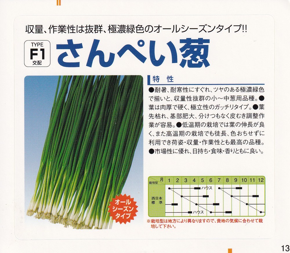 製造元：中原採種場収量、作業性は抜群、極濃緑色のオールシーズンタイプ!!さんぺい葱トンネルの要・不要や定植などの情報は商品パッケージをご確認ください。一代交配F1種小〜中葱用畑プランターコンテナ特性●耐暑、耐寒性にすぐれ、ツヤのある極濃緑色...