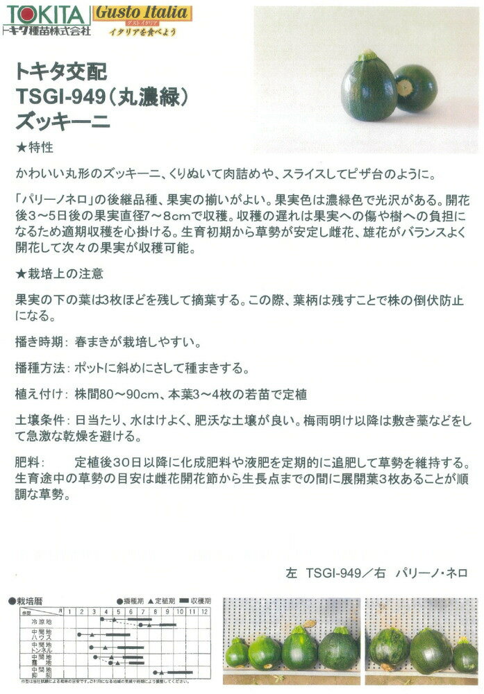 製造元：トキタ種苗かわいい丸形のズッキーニズッキーニ TSGI−949（丸緑系）トンネルの要・不要や定植などの情報は商品パッケージをご確認ください。一代交配F1種株間80〜90cm果実直径7〜8cm特性●かわいい丸形のズッキーニ、くりぬいて...