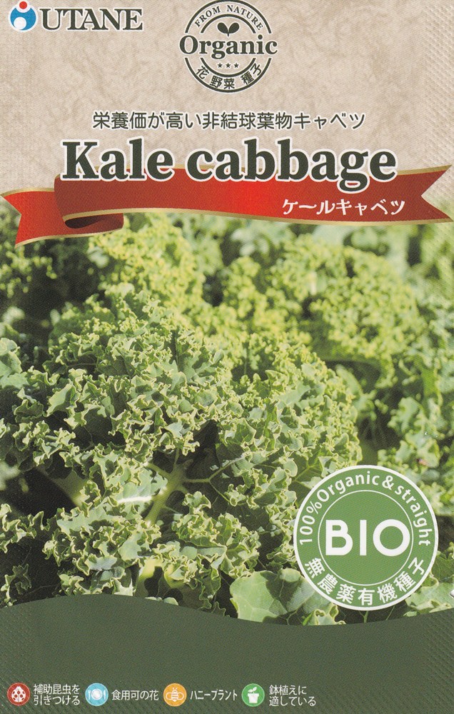製造元：ウタネ栄養価が高い非結球葉物キャベツケールキャベツ固定種有機栽培種子栽培適温20〜25度特性葉を収穫して食べるタイプ、耐寒性が比較的高いです。健康維持に役立つ様々な栄養素がぎゅっと詰まっています。育て方連結ポットなどにタネを2〜3粒...