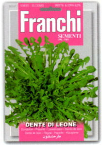 FRANCHI社　【ダンデライオン】 少し苦みのある若葉はサラダのアクセントに、炒めもの、フリット等、花はワイン漬け等に、根（2〜3年物）の部分はよく乾燥させ、焙煎をしてノンカフェインのタンポポコーヒーとして人気があります。また生薬としては...