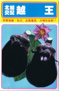 草勢強健・色沢、品質最高・市場性抜群!!北越交配　なす　越王特性・草勢強く作り易い。上物率が高く多収である。・果皮は軟らかく、果肉はしまりの良い多汁質なので漬物にして歯切れが良く食味に優れる。・果は濃黒紫色で“新潟黒十全”よりもやや長めの良...