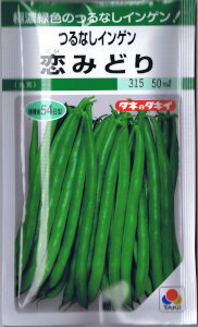 sta0448極濃緑色のつるなしインゲン！タキイ交配　つるなしインゲン　恋みどり（丸莢）特性●莢色は極濃緑色で、莢表面の子実の目立ちも少なく、秀品率の高いつるない種。●丸莢でスジなし、長さは14cm程度でそろいがよい。●熟期は早生で54日タ...