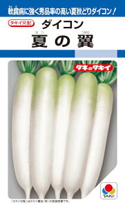 軟腐病に強く秀品率の高い夏秋どりダイコン！タキイ種苗　大根　夏の翼 【特性】 &nbsp; ・軟腐病に強く、曲がり根の発生が少ない。・青首鮮明で肌のテリ・ツヤ良好。・肉質は緻密で食味がよい。 【栽培の要点】 &nbsp; ・1か所に3〜4粒...