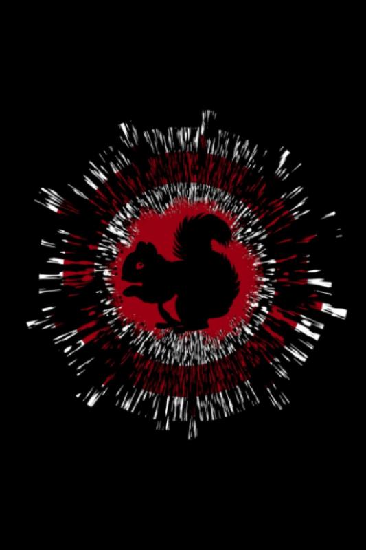SQUIRREL EXPLOSION EFFECT: journal, lined, 120 pages, 6x9 inches, matte finish cover, notebook, diary gift, no bleed