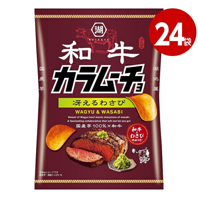 キリッと冴えるわさびで和牛の旨味をさらに際立たせ、味わい豊かな辛旨を体現！ 【内容量】53g×24袋 【原材料】馬鈴薯(日本:遺伝子組換えでない)、植物油、ぶどう糖、砂糖、食塩、香辛料、粉末しょうゆ(小麦・大豆を含む)、たんぱく加水分解物(...