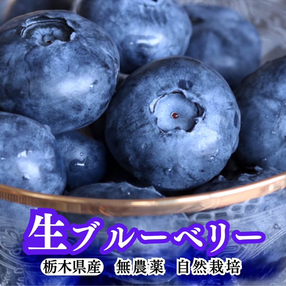 ハイブッシュ系は爽やかな甘みがあり食べやすく、ラビットアイ系は酸味と甘味が強く、やや濃厚でコクのある味わいが特徴です。 商品説明名称果実産地 栃木県小山市（国産）品種ハイブッシュ系6/18〜7/8頃 ラビットアイ系7/9〜8/20頃 産年令...