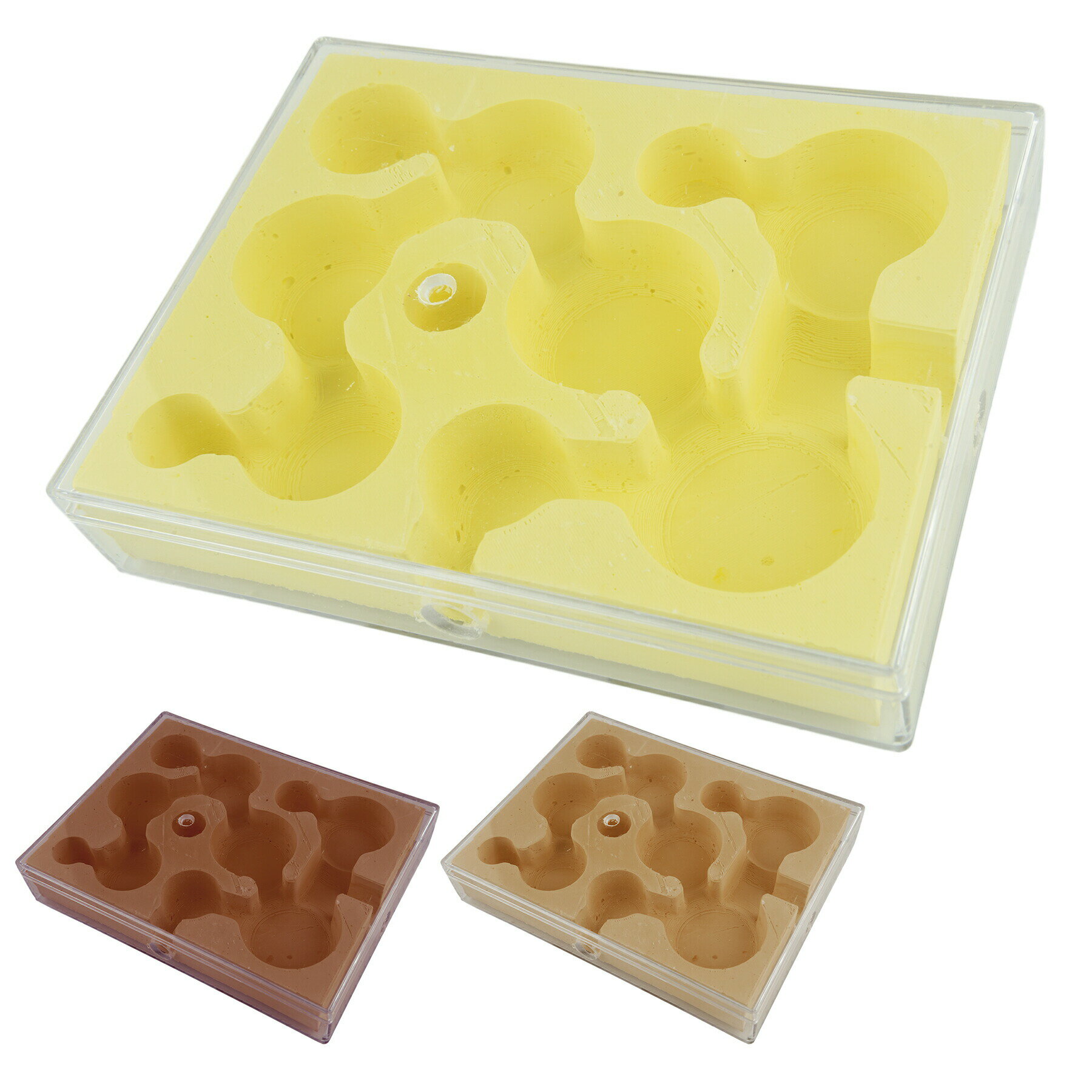 【 商 品 説 明 】 〇アリを観察しやすい アリを飼育するためのコロニーです。 多くのアリを飼育可能で、巣の様子を横から観察できます。 〇アリのお世話をしよう スポイトなどを使用し適度に給水し、湿度を調整してください。 チューブを接続して...