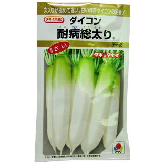 大根 種 【 耐病総太り 】 35ml ( 種 野菜 野菜種子 野菜種 大根 種 【 耐病総太り 】 35ml ( 種 野菜 野菜種子 野菜種