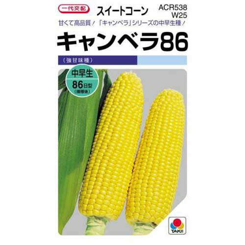 メール便で10袋まで同梱できます。 種子と責任種子は努めて純良なものをご用意しておりますが、商品の性質上100%の純度や発芽は望めません。商品の包装等に記載のある、発芽試験結果を満たした商品をお届けいたします。発芽は播種後の条件により結果が...